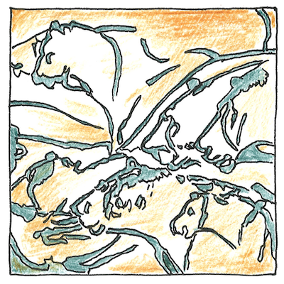 1834: Cro-Magnons - The book of science