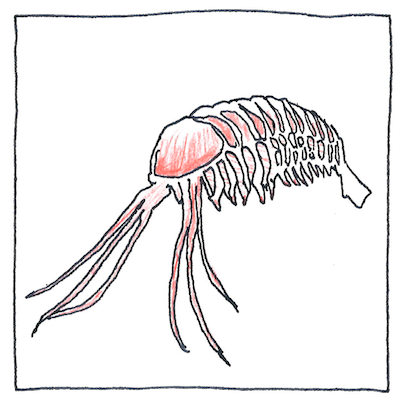 1909: Burgess shale - The book of science
